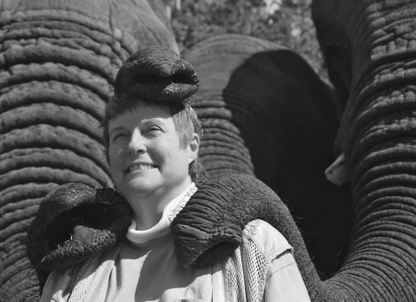 “Mastodons, Mammoths, and Morula” by Cheryl Merrill – Sentience ...